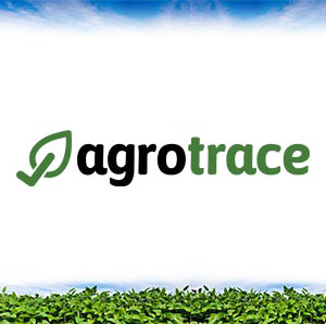 TI - DESENVOLVIMENTO